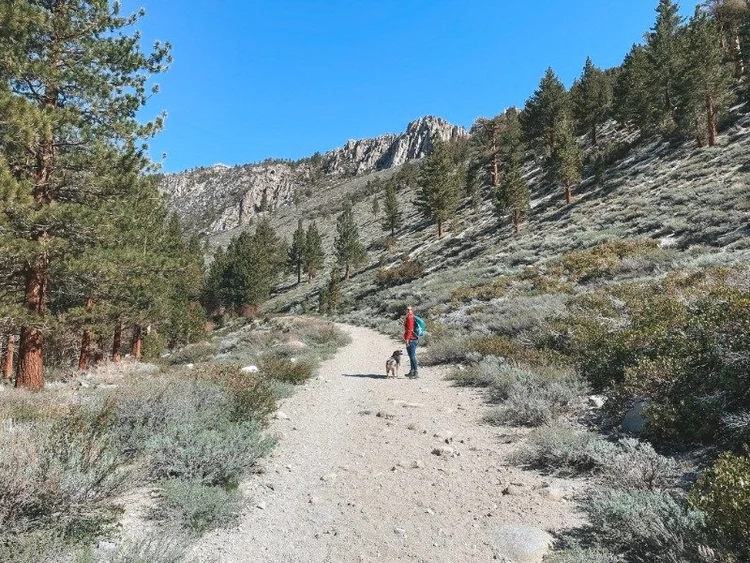 Big Pine Lakes Day Hike (Pro Tips with Photos) — Nomads in Nature