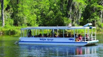 10 Prettiest Natural Springs in Florida to Swim and Kayak — Nomads in ...
