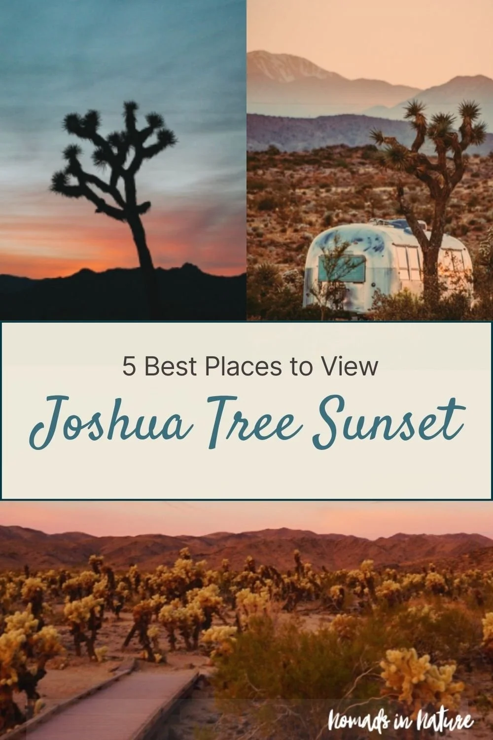 5 Epic Joshua Tree Sunset Spots (+Hidden Gems & Best for Milky Way ...