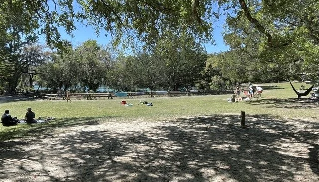 A Perfect Day at Silver Glen Springs Florida (+Swim with Manatees ...