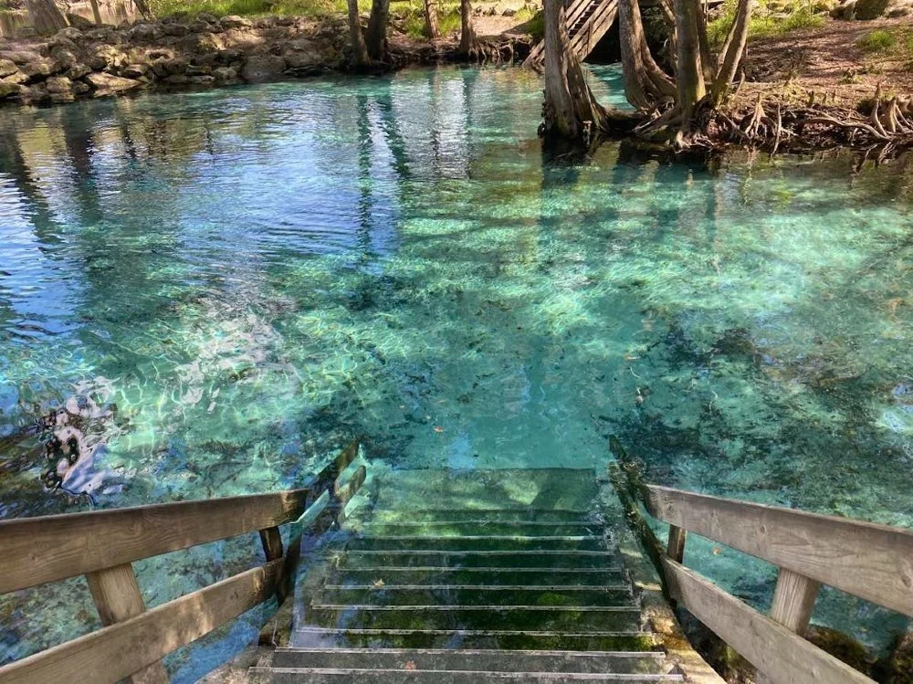 10 Prettiest Natural Springs in Florida to Swim and Kayak — Nomads in ...