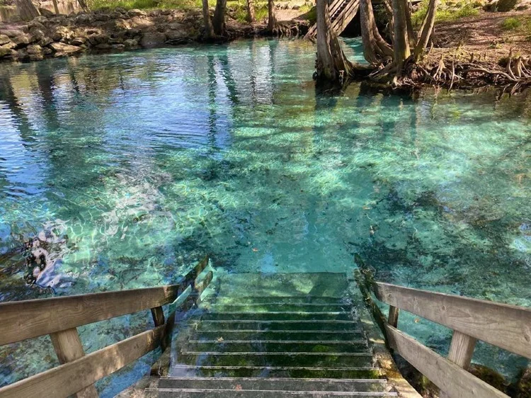 10 Prettiest Natural Springs in Florida to Swim and Kayak — Nomads in ...