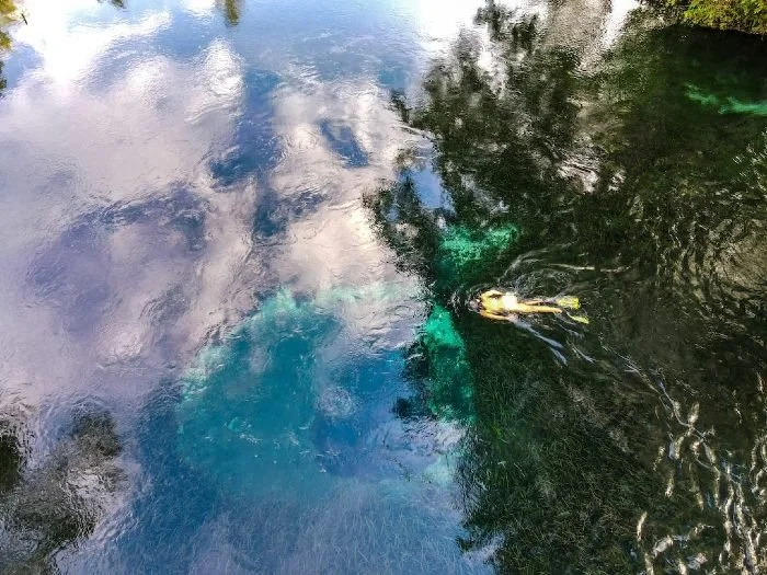 2024 Guide to Ichetucknee Springs - Tubing, Kayaking, Camping — Nomads ...