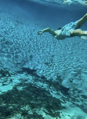 A Perfect Day at Silver Glen Springs Florida (+Swim with Manatees ...