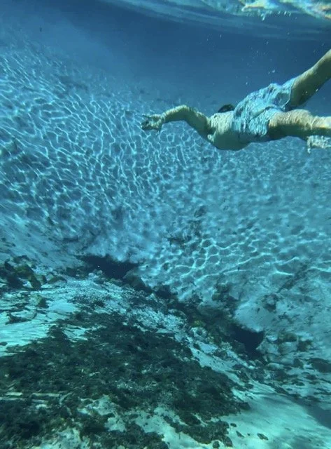 A Perfect Day at Silver Glen Springs Florida (+Swim with Manatees ...