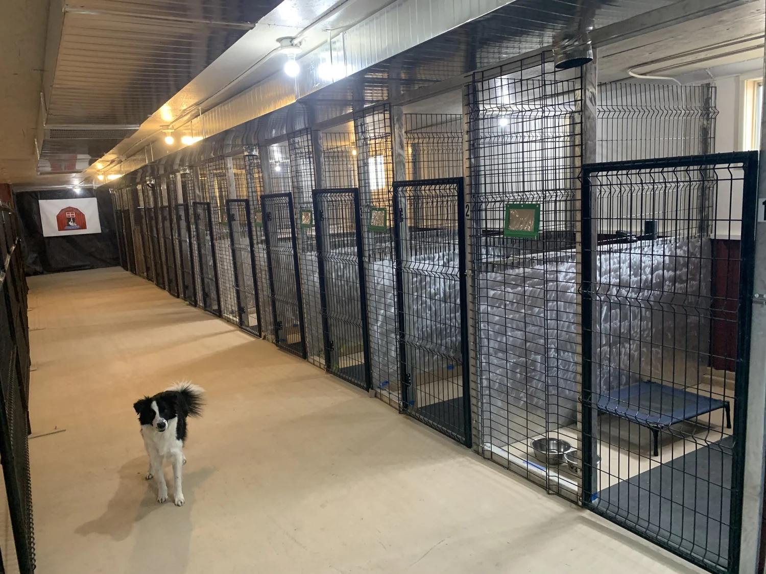 Country Barn Dog Kennel LLC