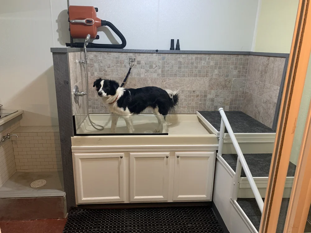 Country Barn Dog Kennel LLC