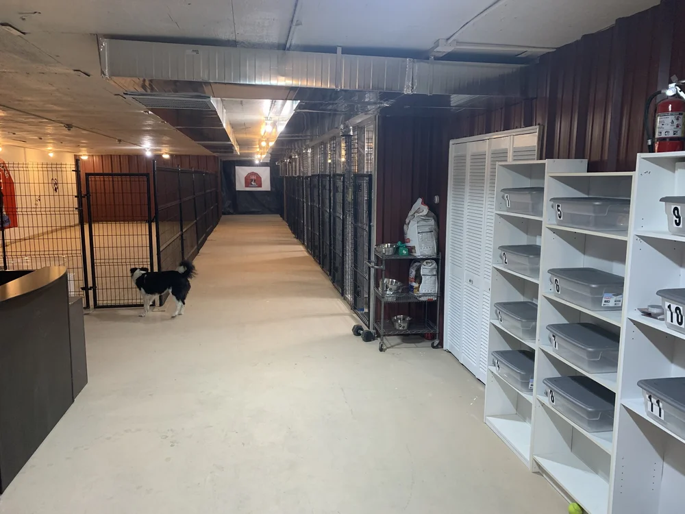 Country Barn Dog Kennel LLC