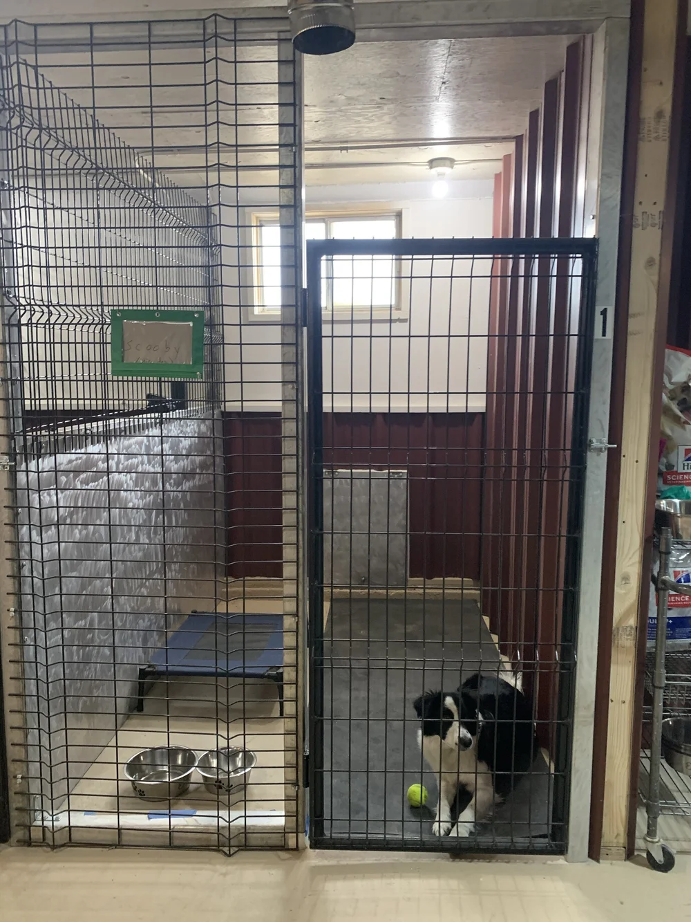 Country Barn Dog Kennel LLC