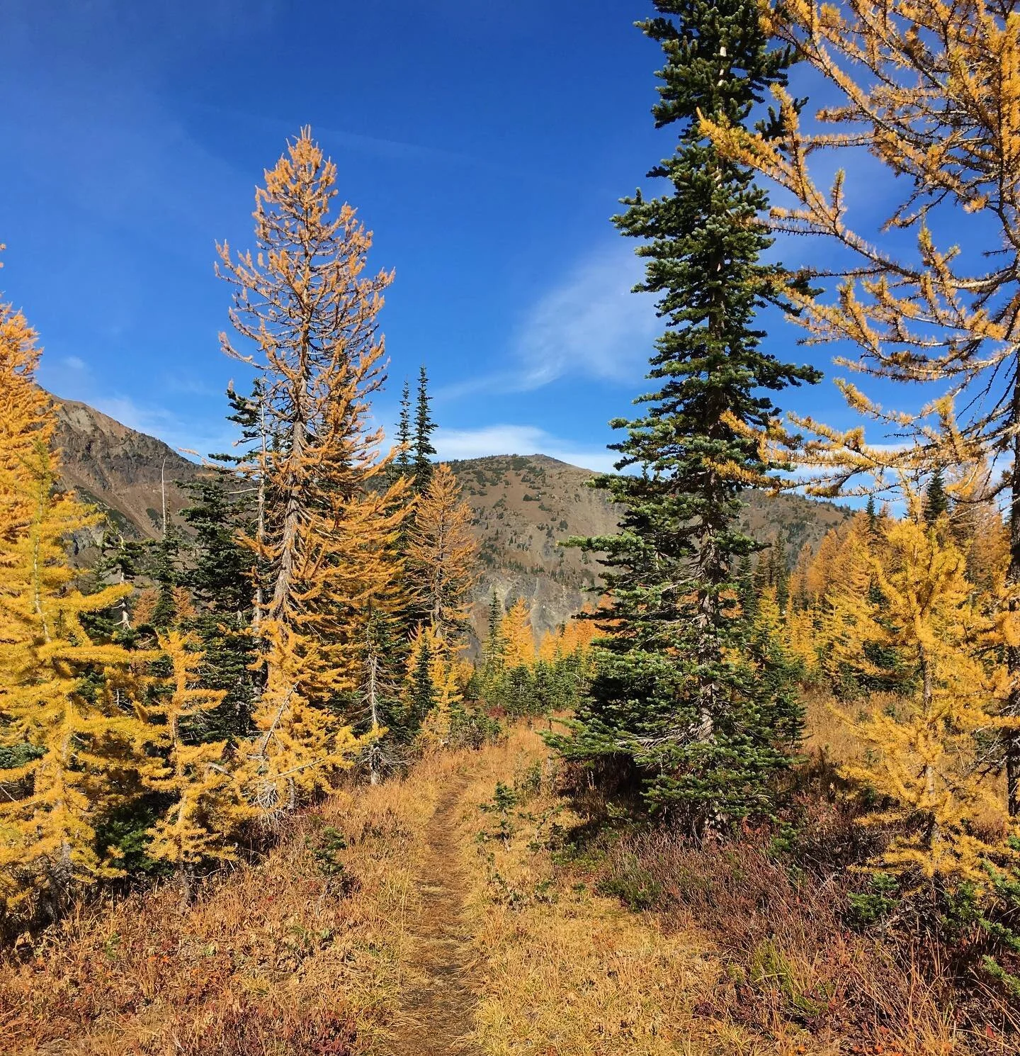 Colchuck Consignment