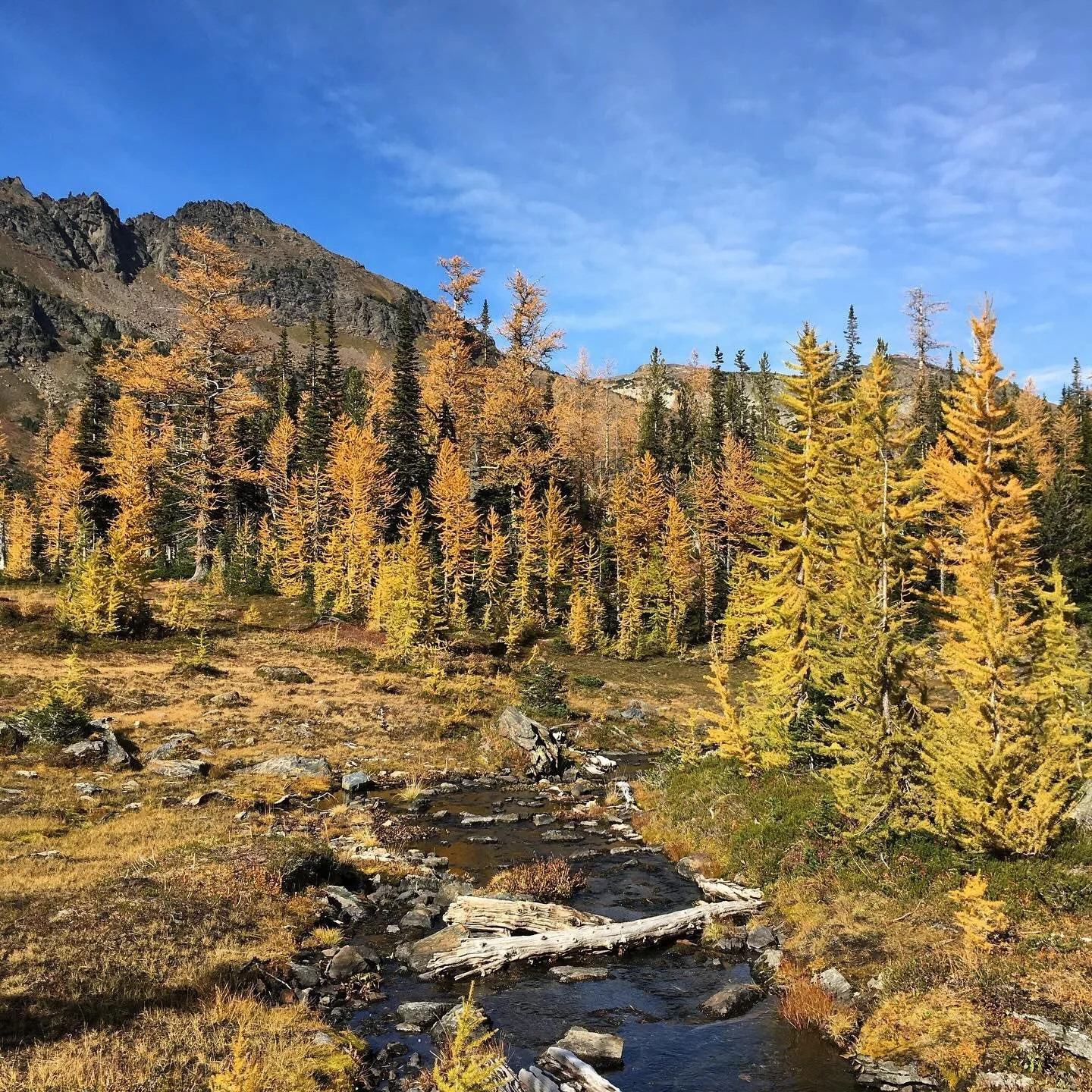 Colchuck Consignment