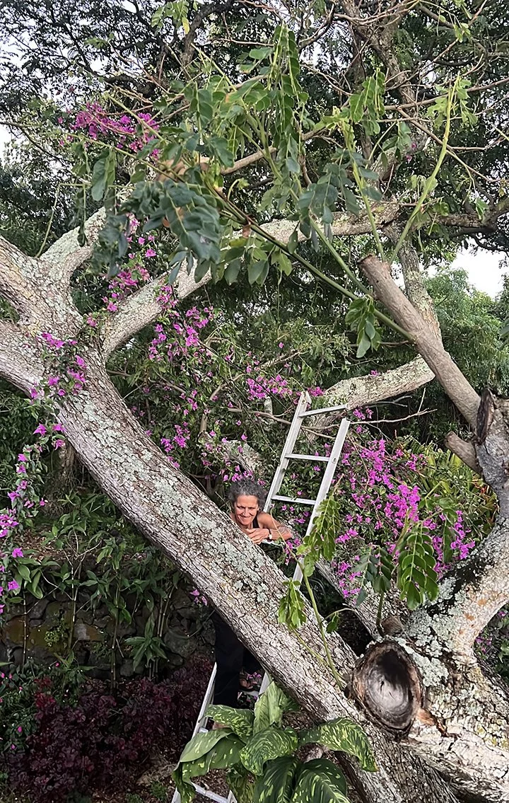 Rashani Réa Bio — Rashani