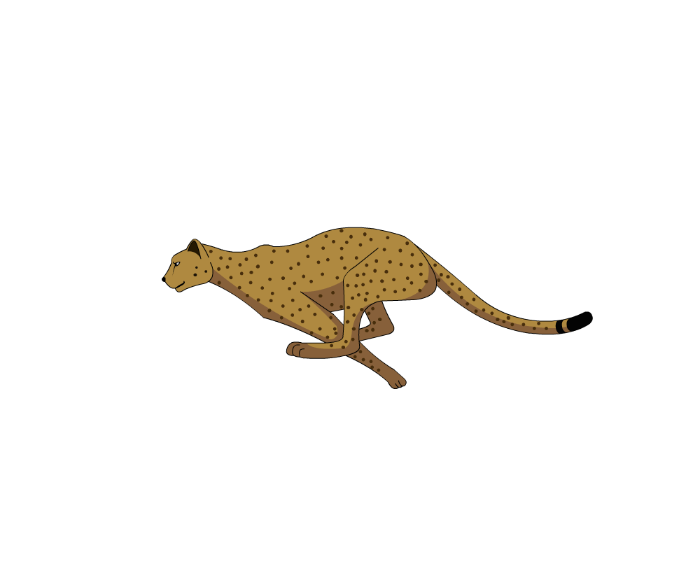 Cheetahs Running Gif
