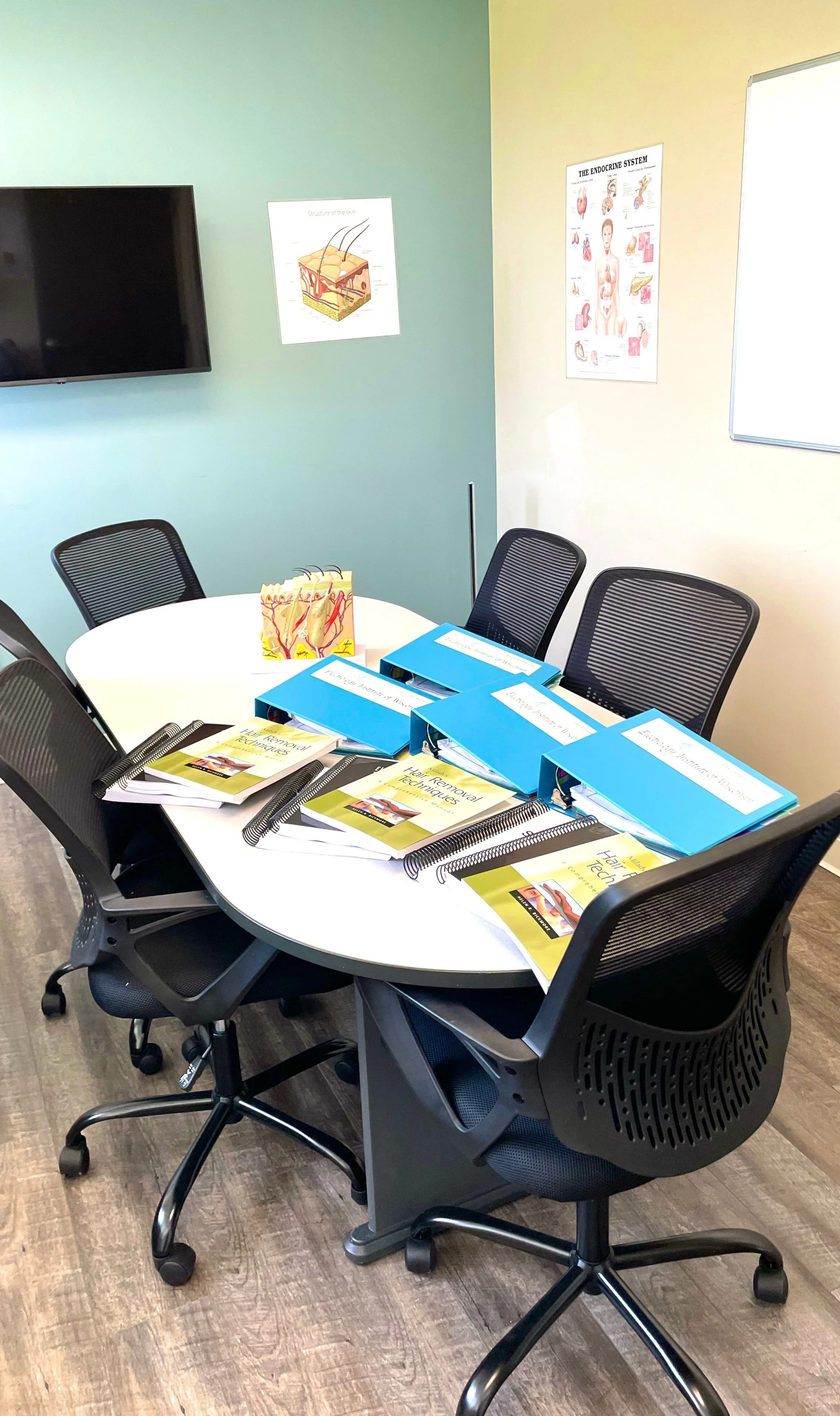 Electrology Essentials- Permanent Hair Removal