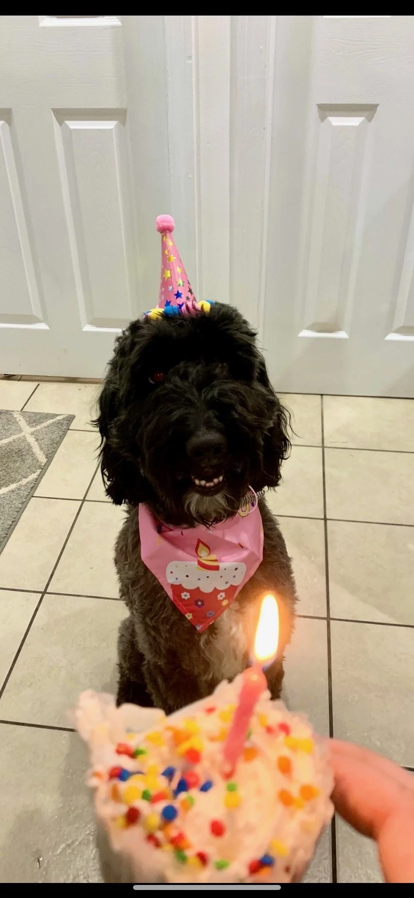 Southbury Counseling