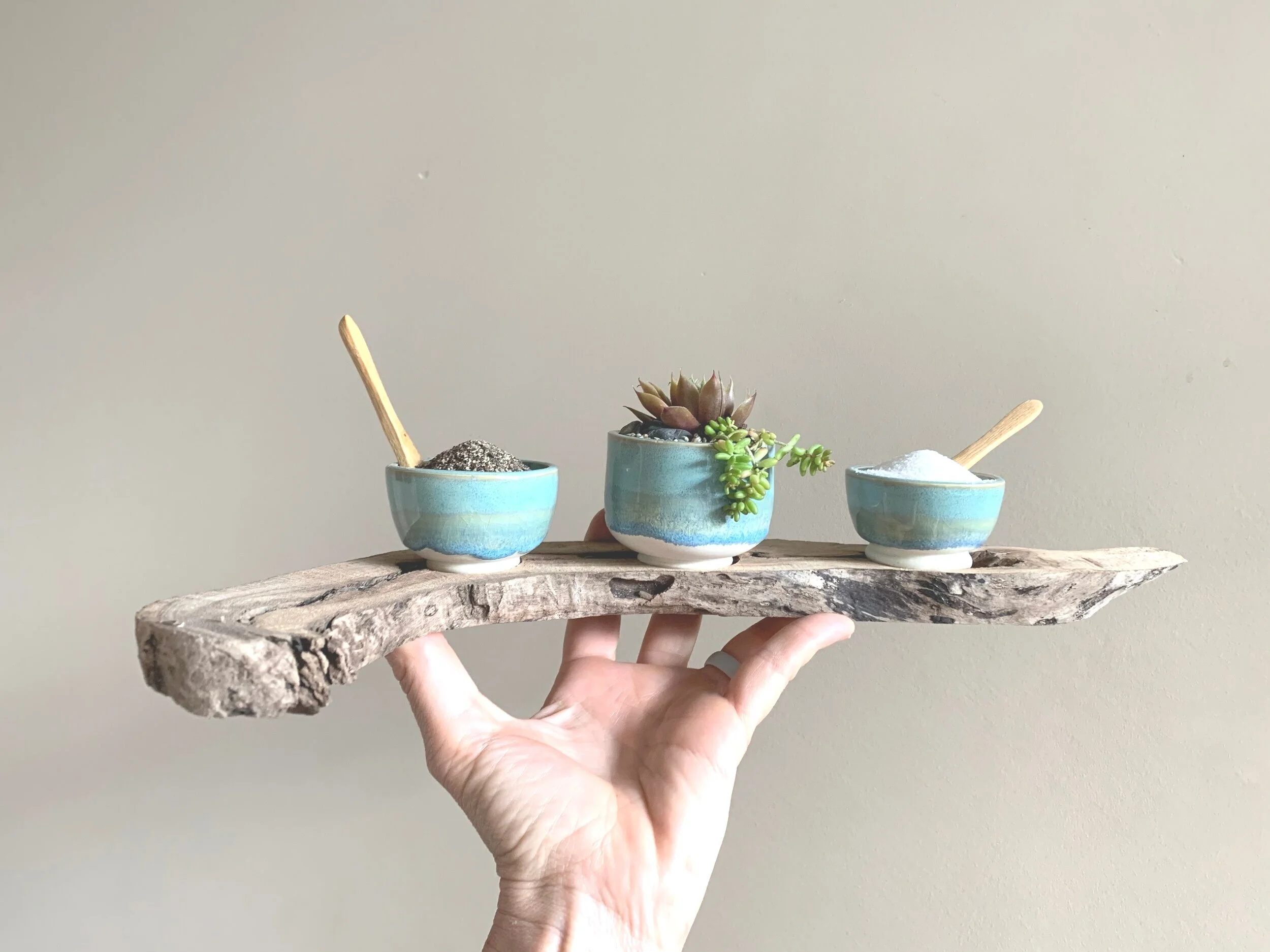 Store 1 — driftwood pinch pots