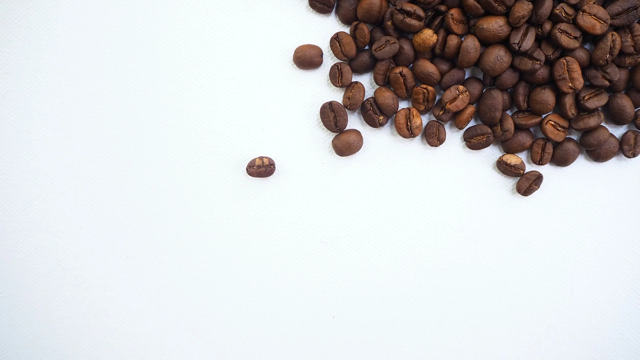 About Us — Sunago Coffee