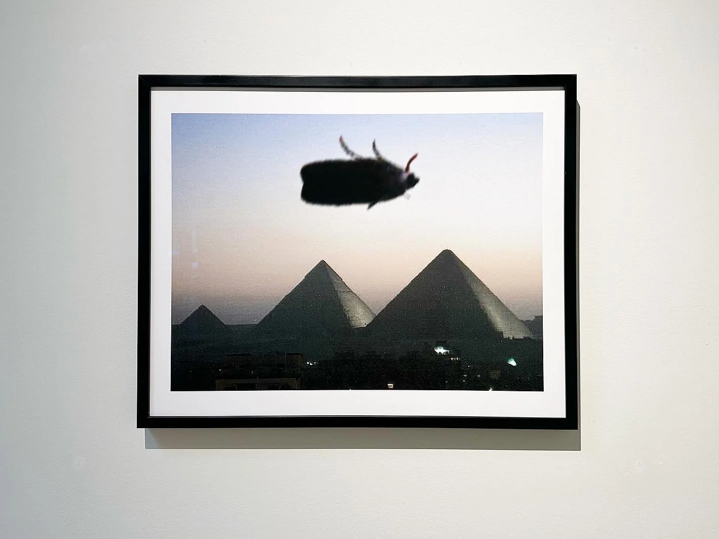 Machine Vision Artist Feature: Adam Chin — Candela Books + Gallery