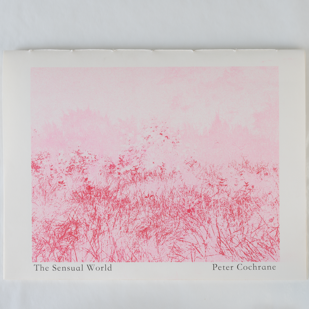 Blue Hour Artist Feature: Peter Cochrane — Candela Books + Gallery