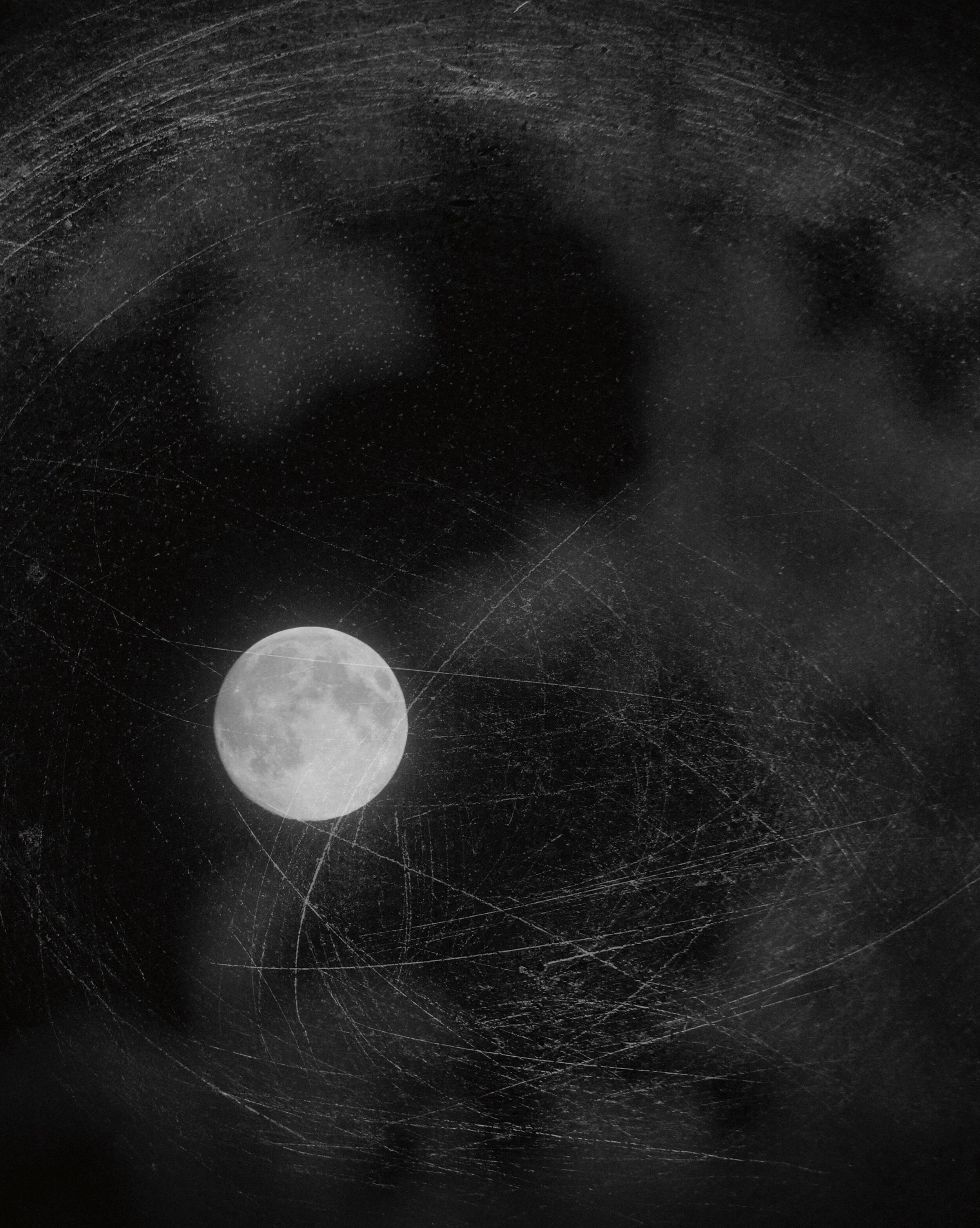 Pine Tree Ballads: Paul Thulin Jimenez — Candela Books + Gallery