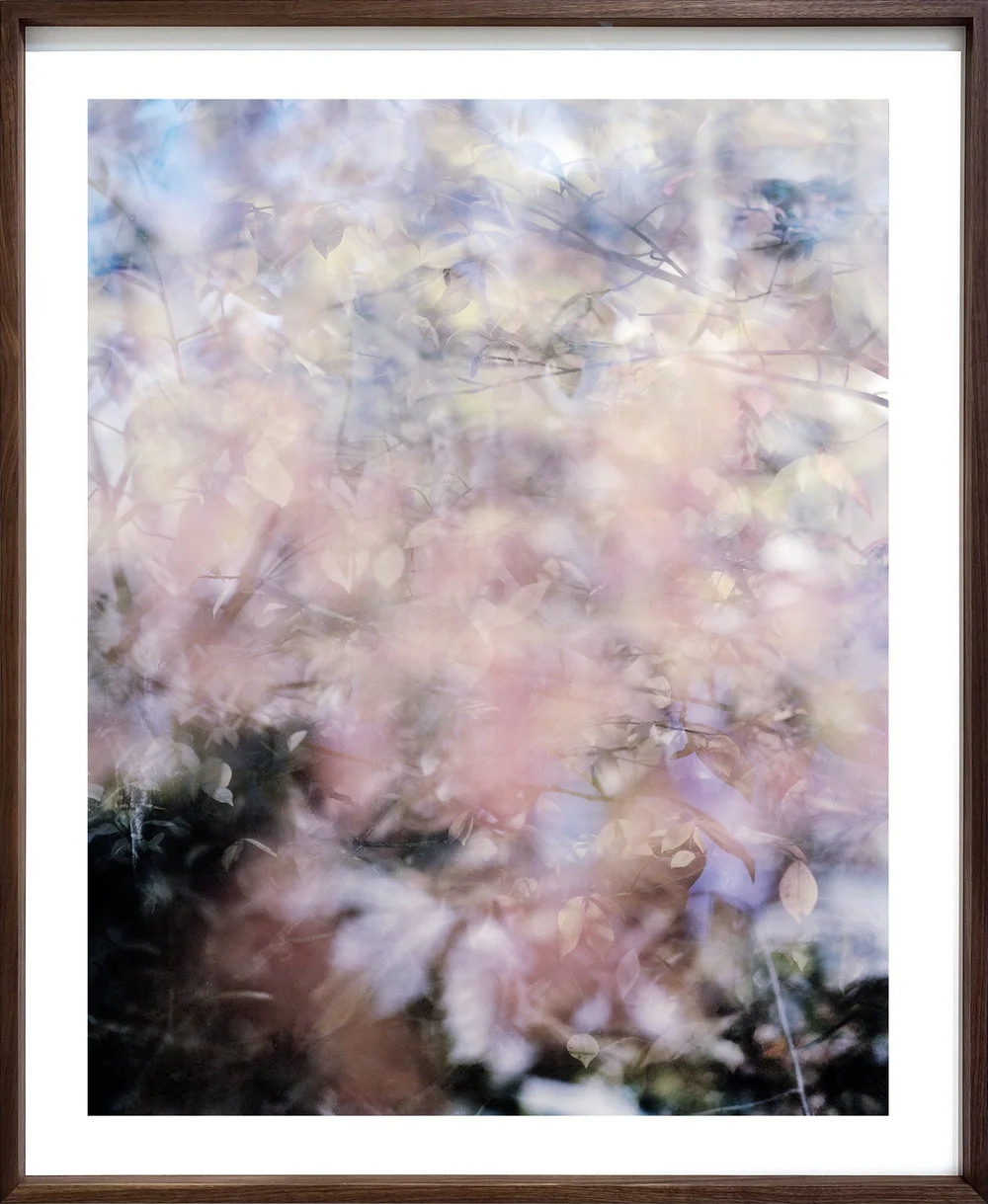 Featured Artist: Justin James Reed — Candela Books + Gallery