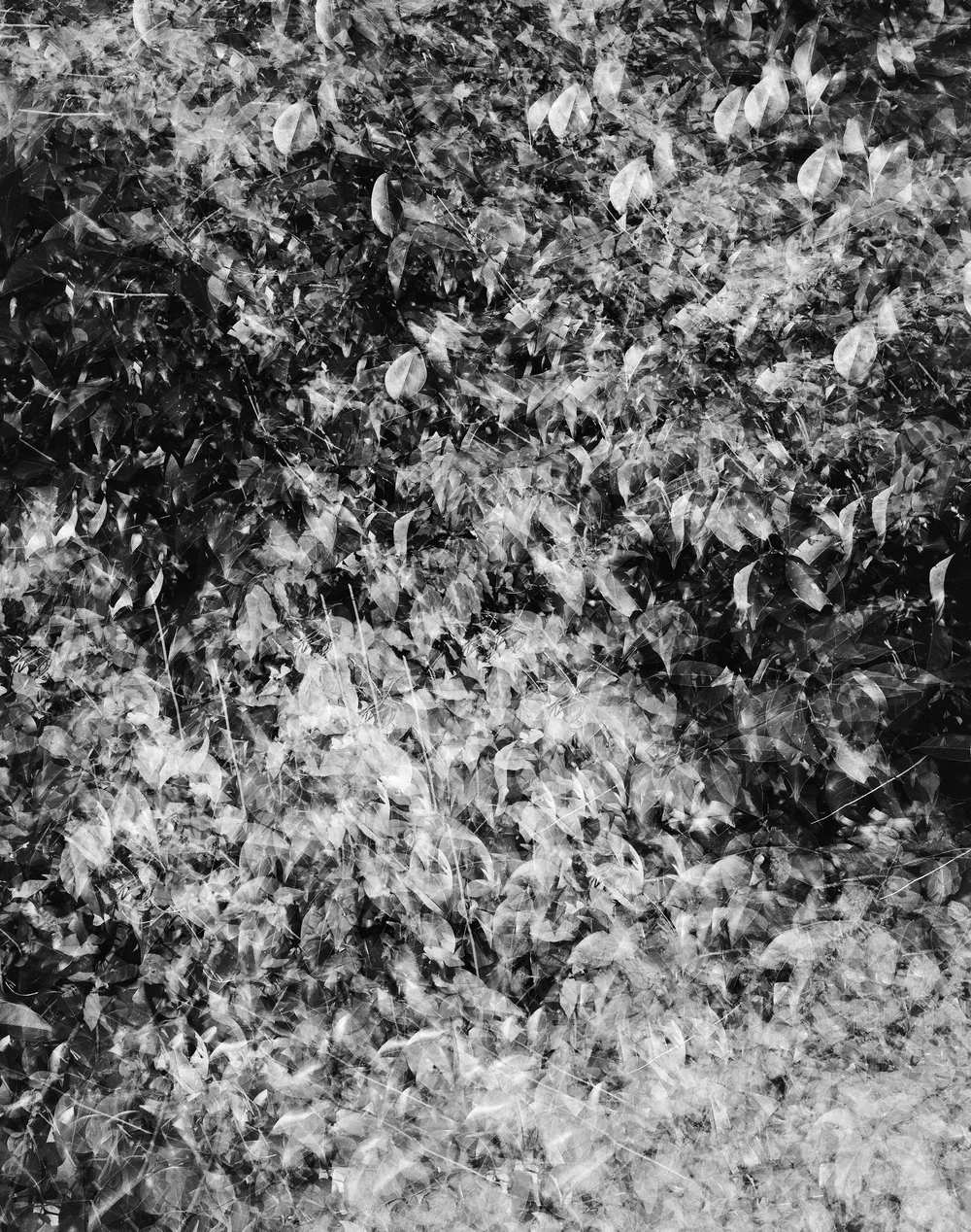 Coming Down to Earth: Justin James Reed — Candela Books + Gallery