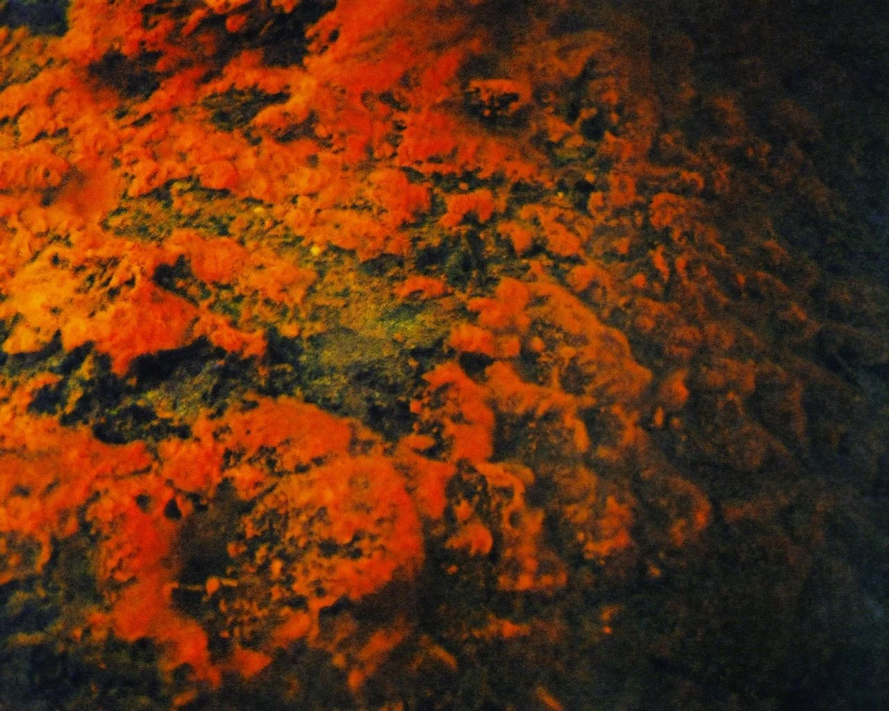 Blue Hour Artist Feature: Peter Cochrane — Candela Books + Gallery
