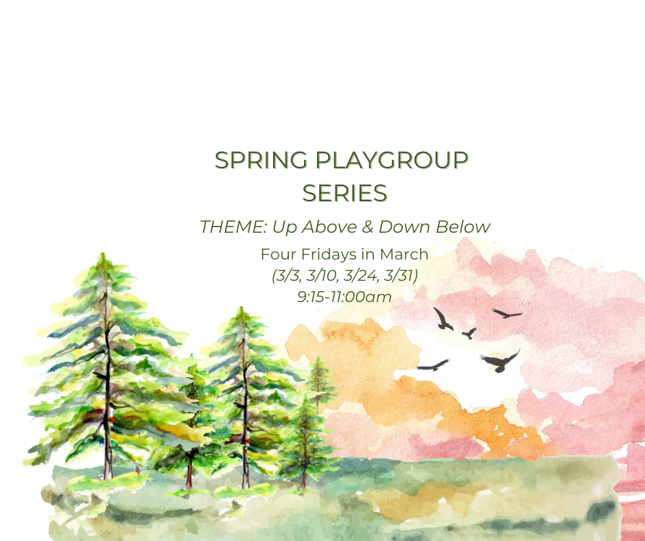 Play With Us — Little Mountain Forest School