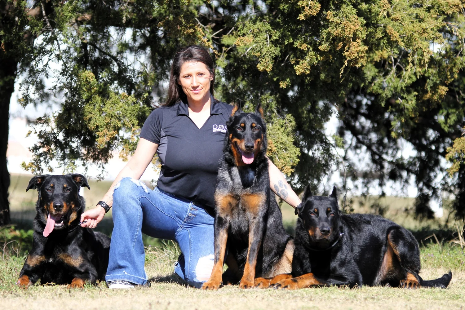 Elitehaus Best Doberman Breeder