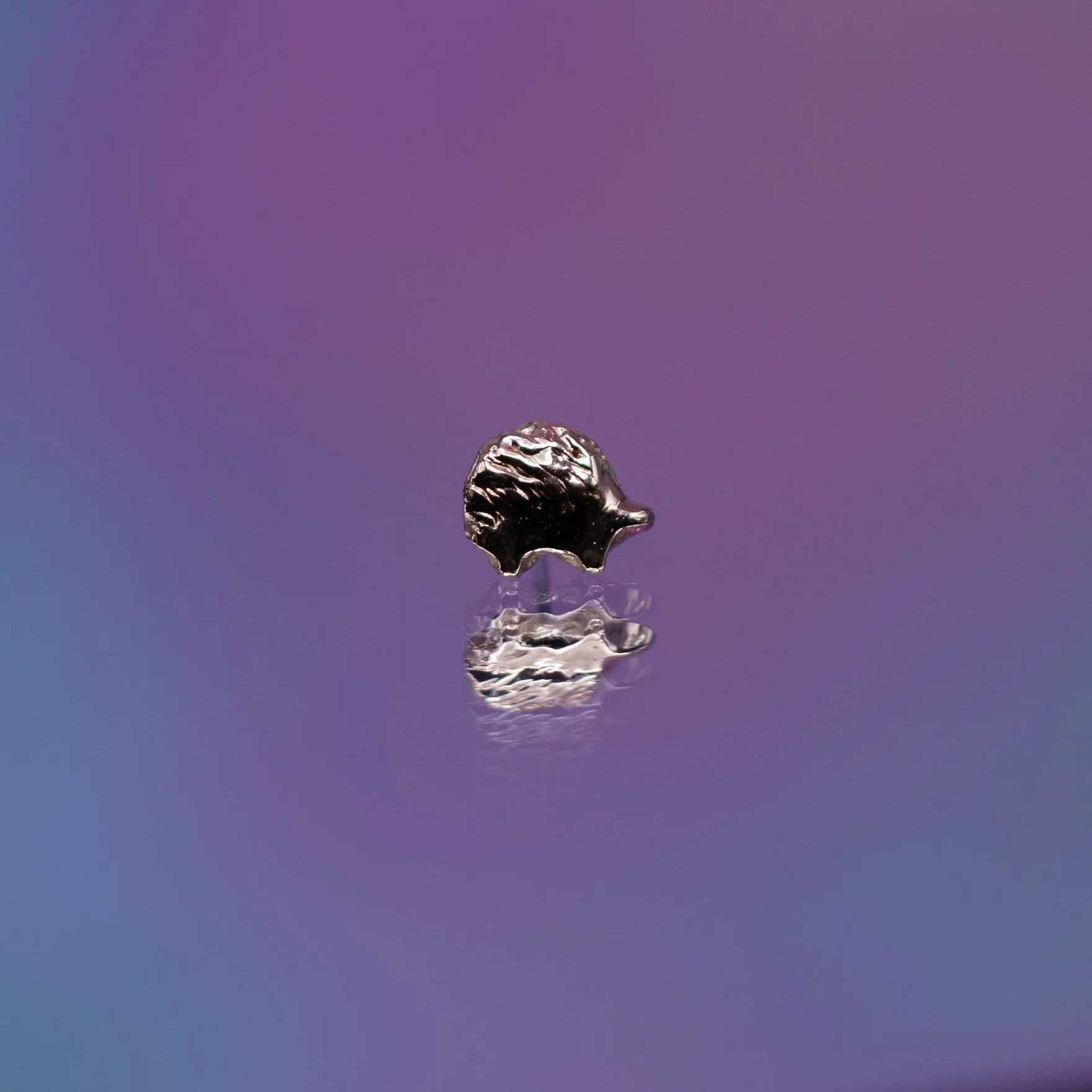 Dallas Piercing Services | Dallas Jewelry Piercings — Eden Body Art Studios