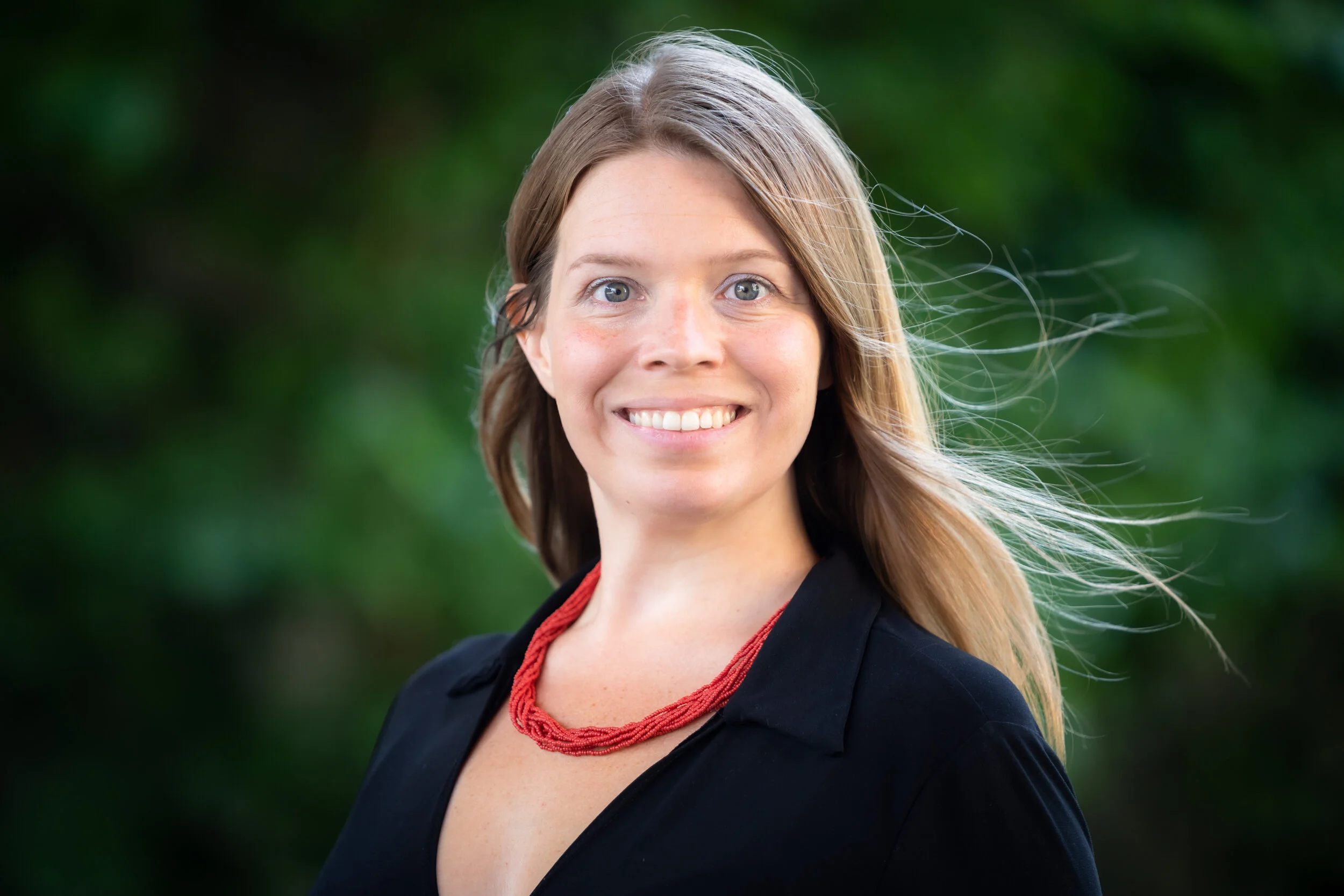 About HACE — Harvard Alumni for Climate and the Environment (HACE)