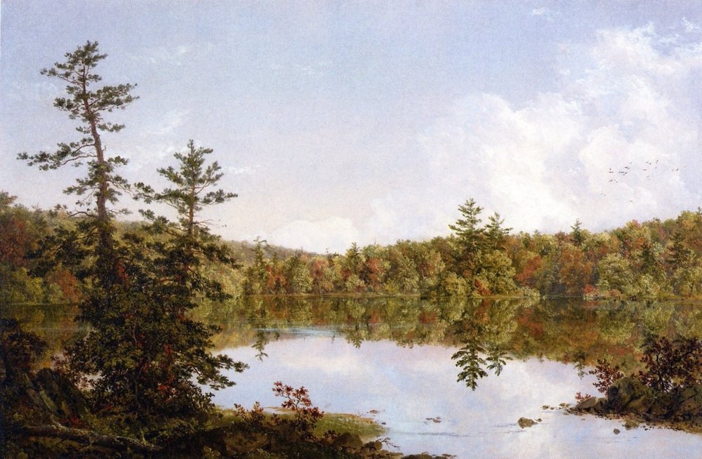 Book Club — Harvard Alumni for Climate and the Environment (HACE)