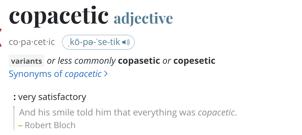 copacetic - Deeply Satisfied — Lucid Accent Consulting