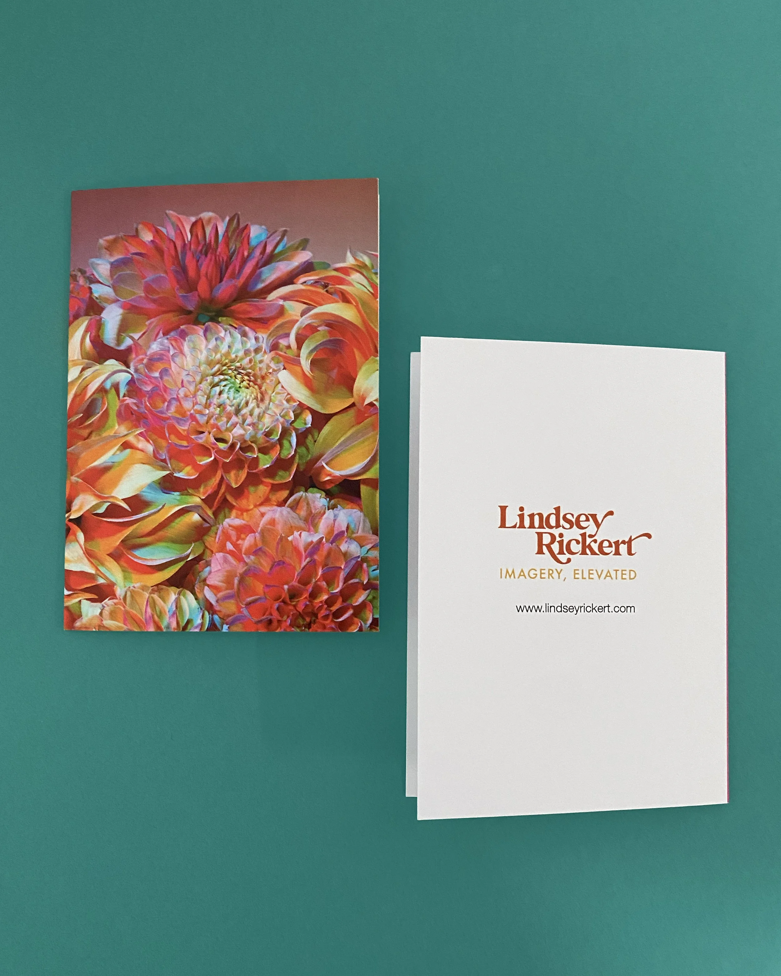 Lindsey Rickert Photography — Otherworldly Botanical Prints, Greeting ...