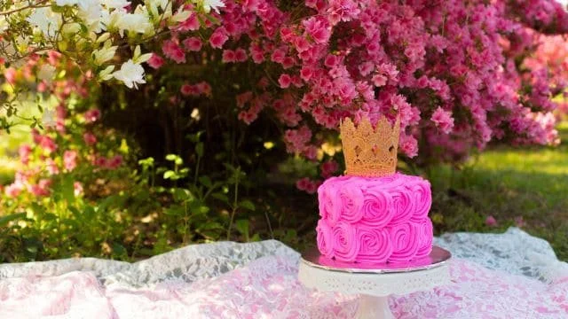 Cake Smash Photography Toronto: Capturing Sweet Moments in 2023! – HSB Visualz