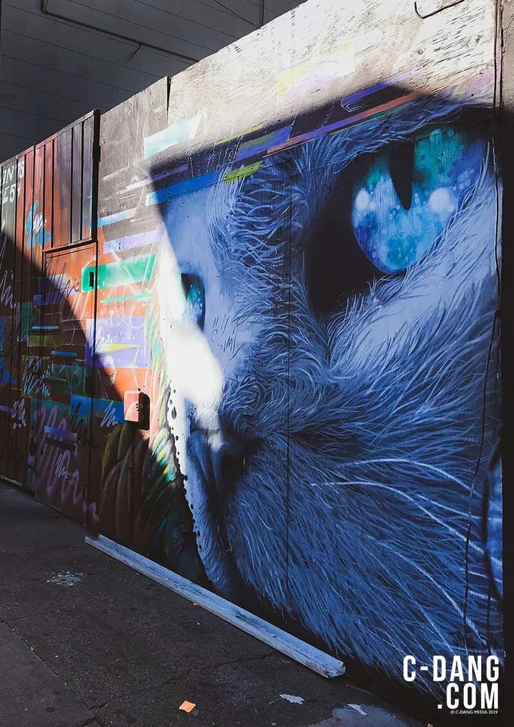 Graffiti Murals in Mission District ‣ San Francisco, Cali — C-DANG