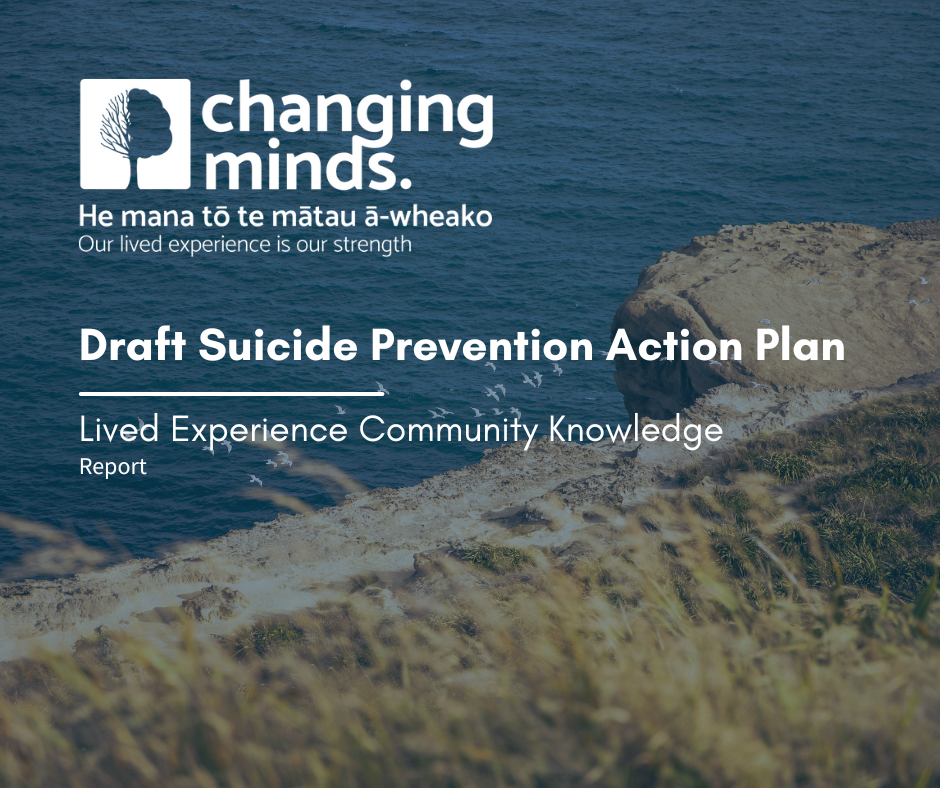Draft Suicide Prevention Action Plan — Changing Minds