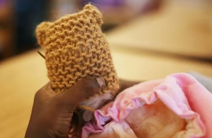 Specialty Subjects — The Waldorf School of Atlanta