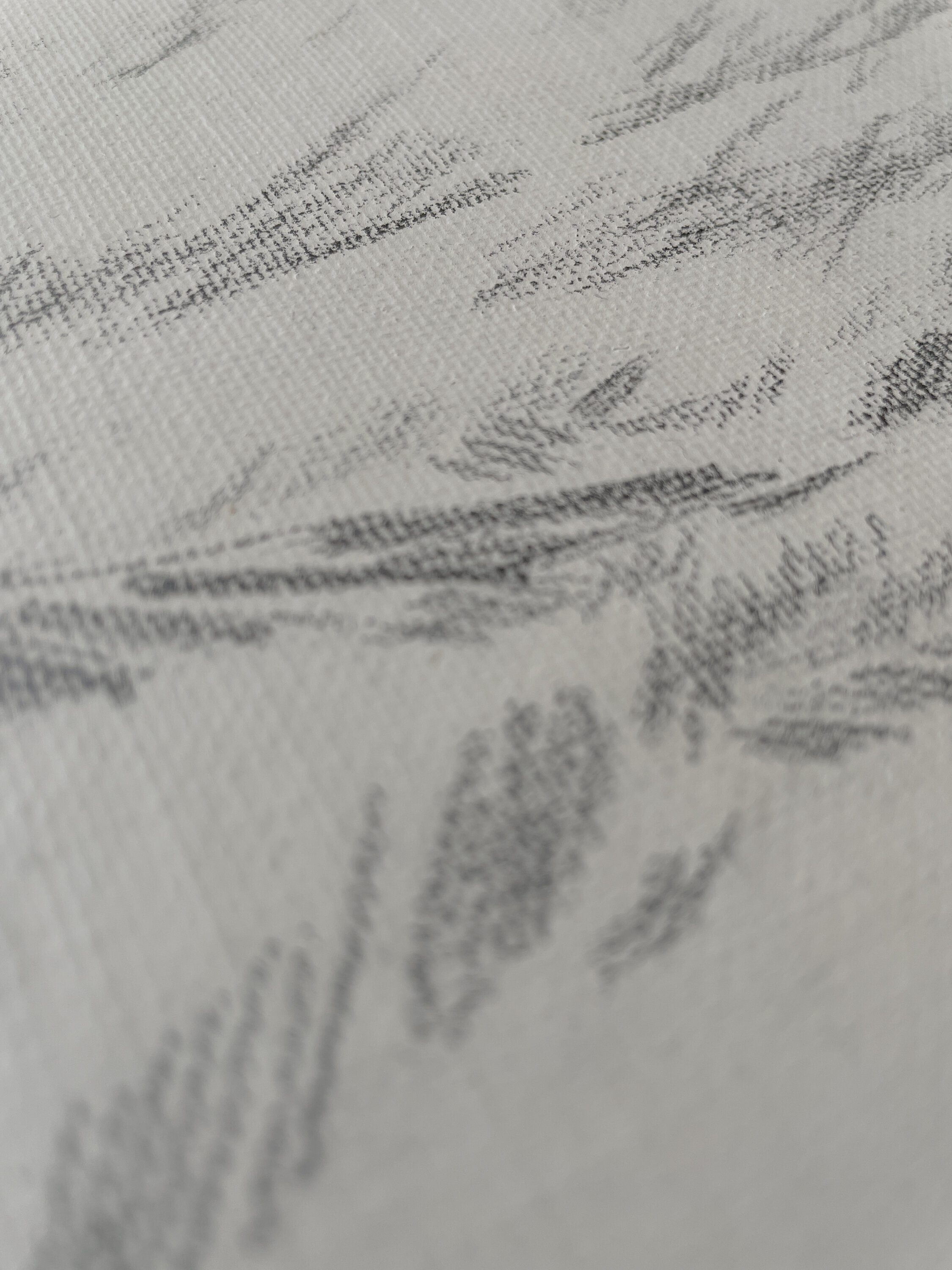 Long, Narrow Views, 8x6 Horizontal Landscape Wall Art — Lauren Sauder