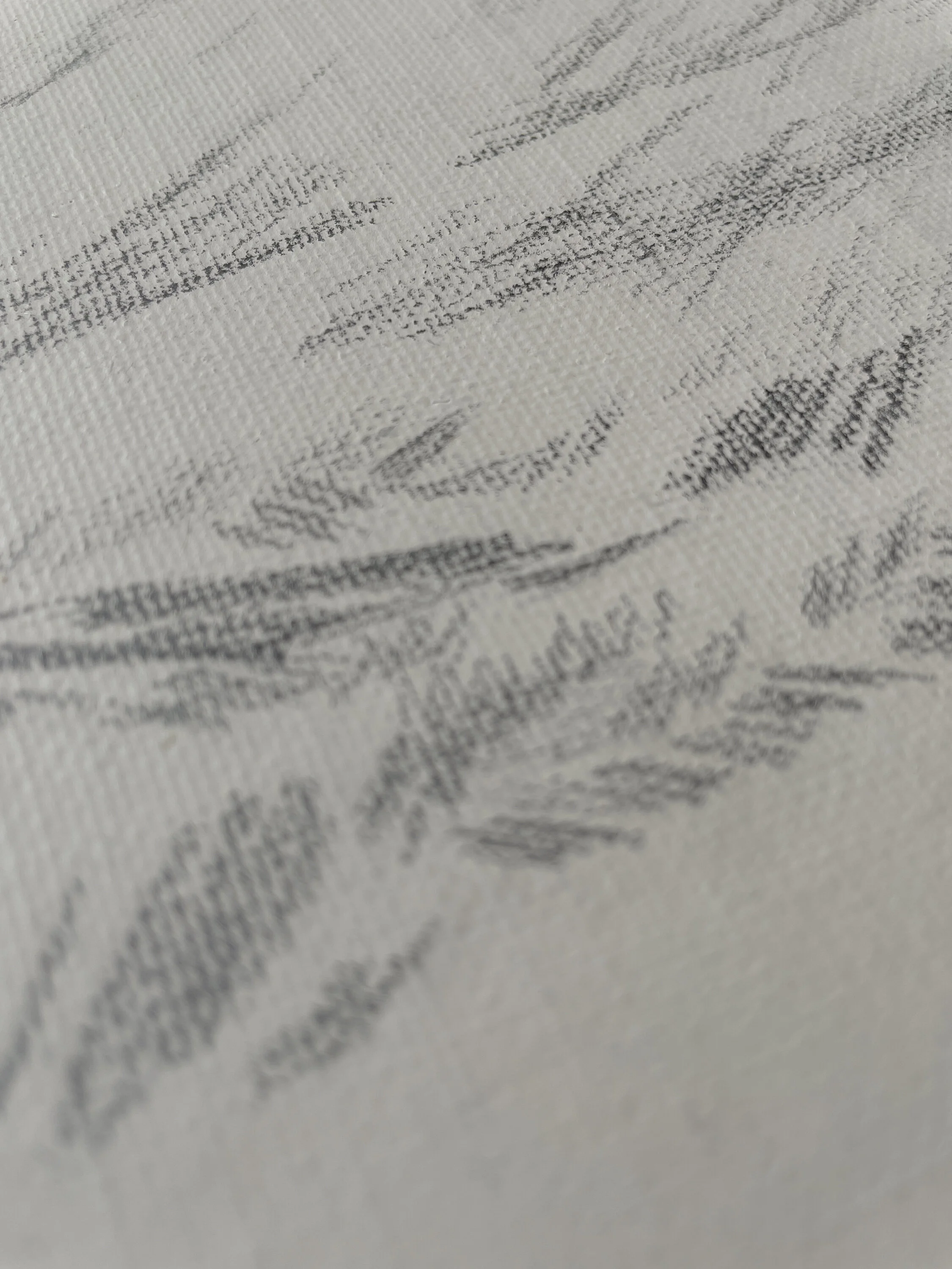 Long, Narrow Views, 8x6 Horizontal Landscape Wall Art — Lauren Sauder