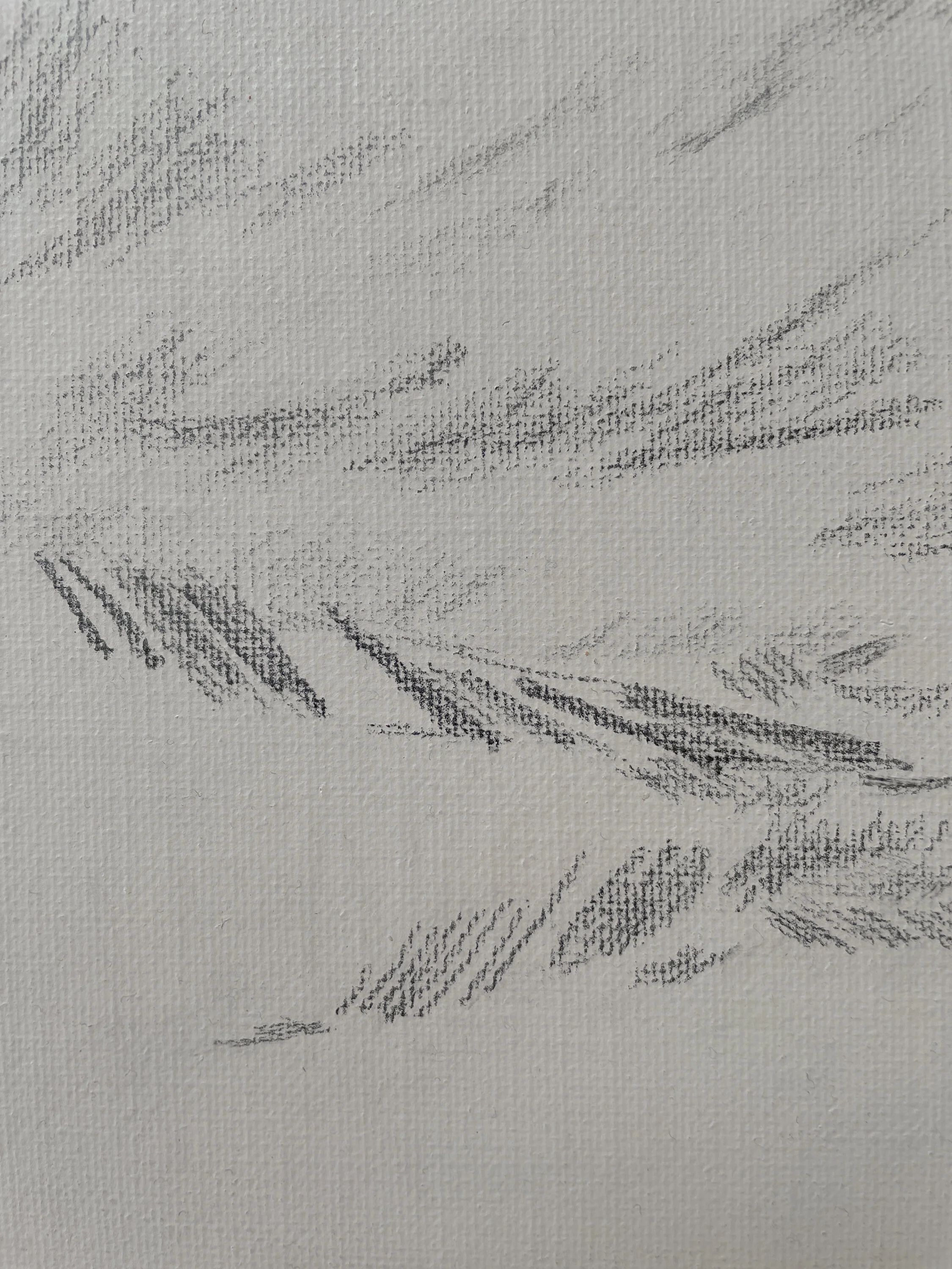 Long, Narrow Views, 8x6 Horizontal Landscape Wall Art — Lauren Sauder