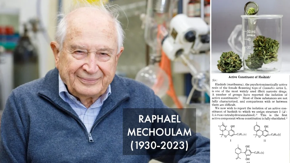 Falleció Raphael Mechoulam a los 92 años, fue uno de los principales ...