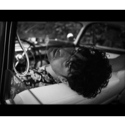 Gallery — Eric Zayne