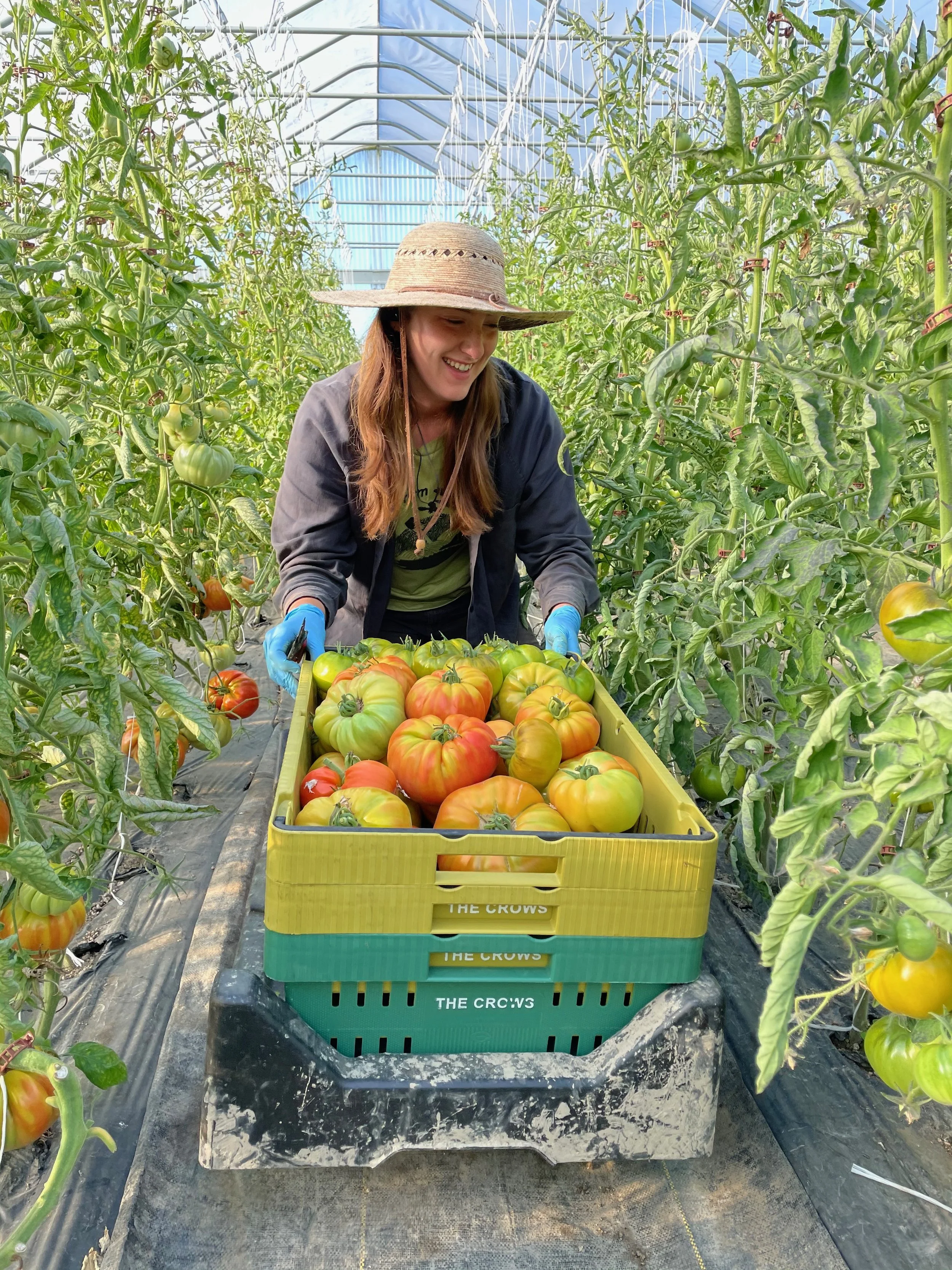 Co-op Donates $100,000 to Viva Farms — Skagit Valley Food Co-op