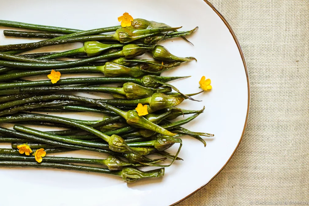 How to Prepare Garlic Scapes + 7 Tasty Recipes — Skagit Valley Food Co-op