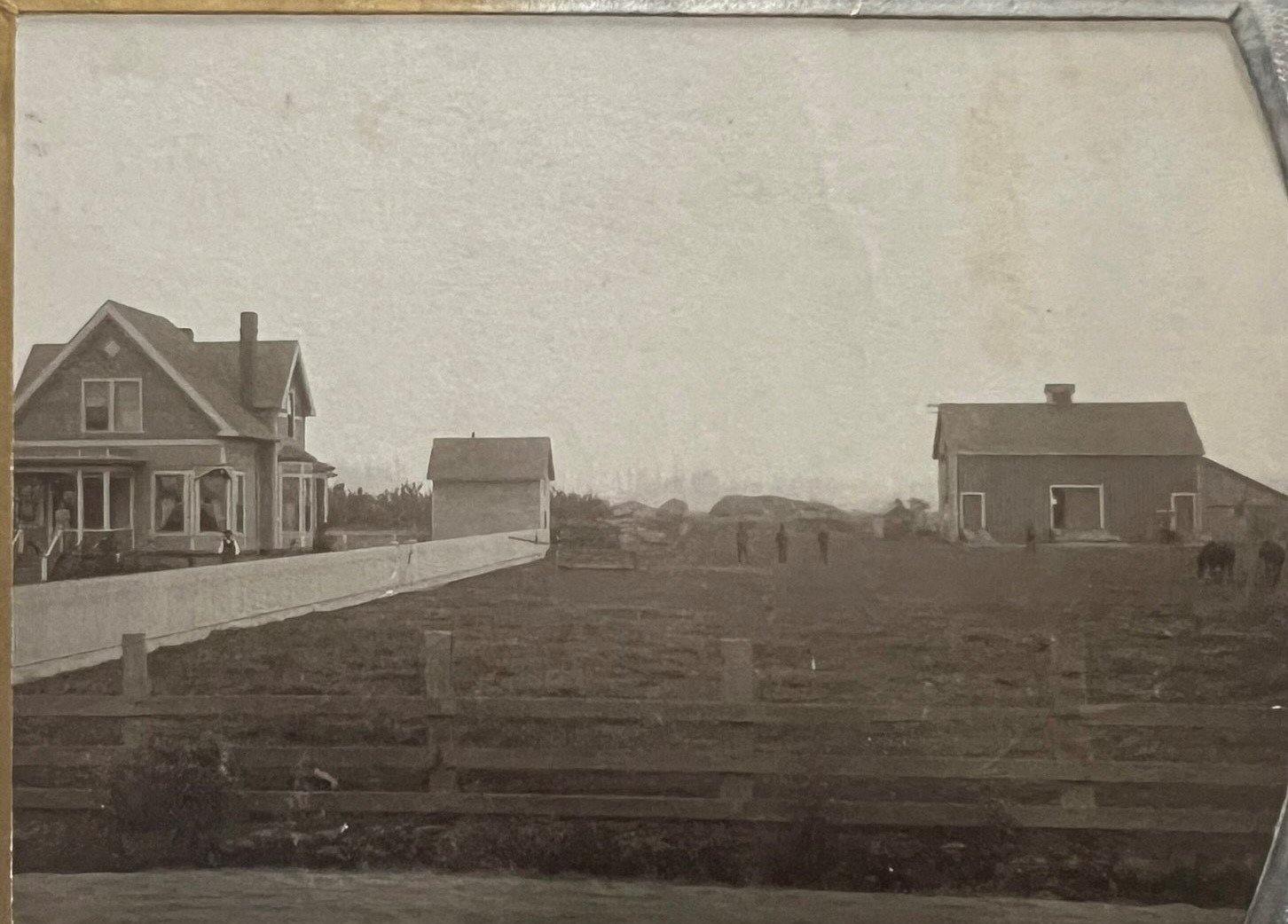 Skagit County Protects 425 Acres of Farmland from Development in 2023 ...