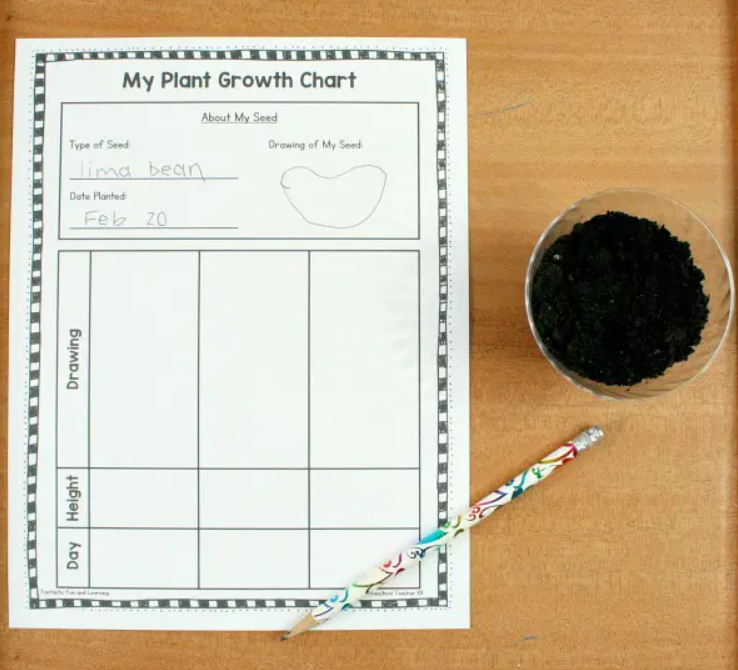 Spring Ideas: 15 DIY Gardening Projects — Skagit Valley Food Co-op
