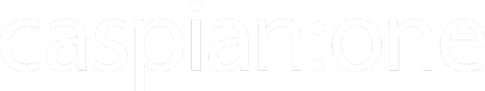 Home | Caspian One > Capability Partners - Staffing & Consultancy