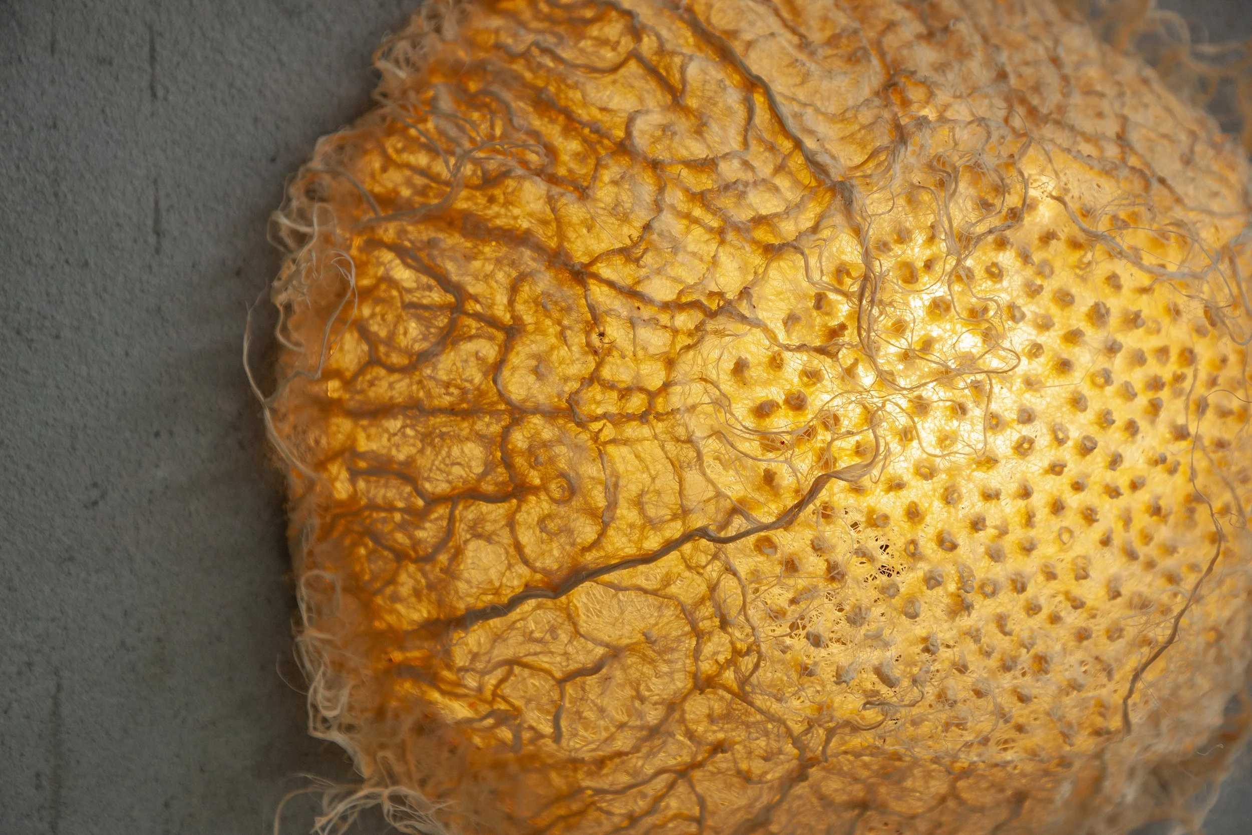 Sustainable root-grown, sculpture and wearables — Zena Holloway