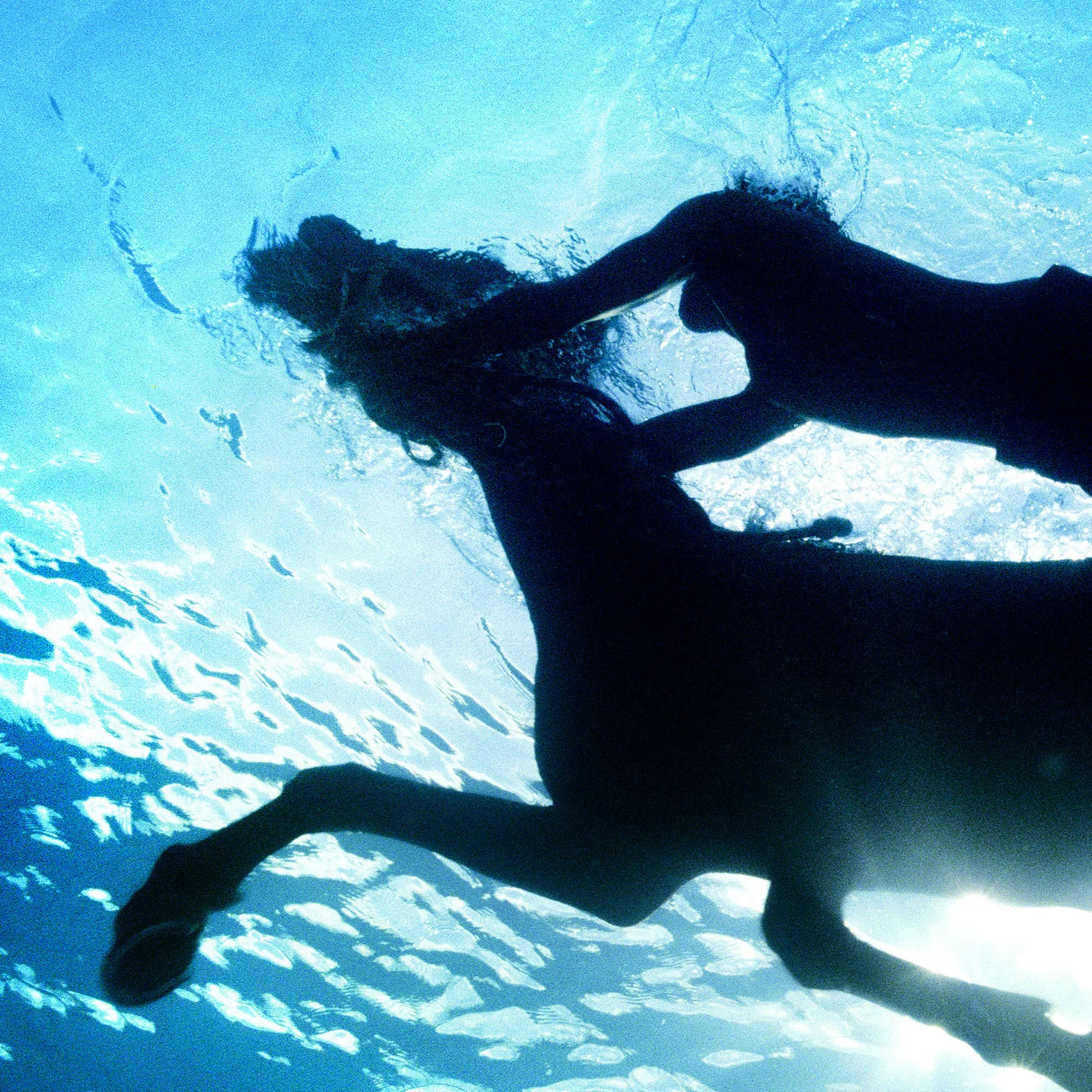 Horses Underwater